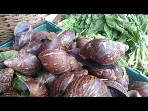 Live snails for sale in Ridley Road Market London E8