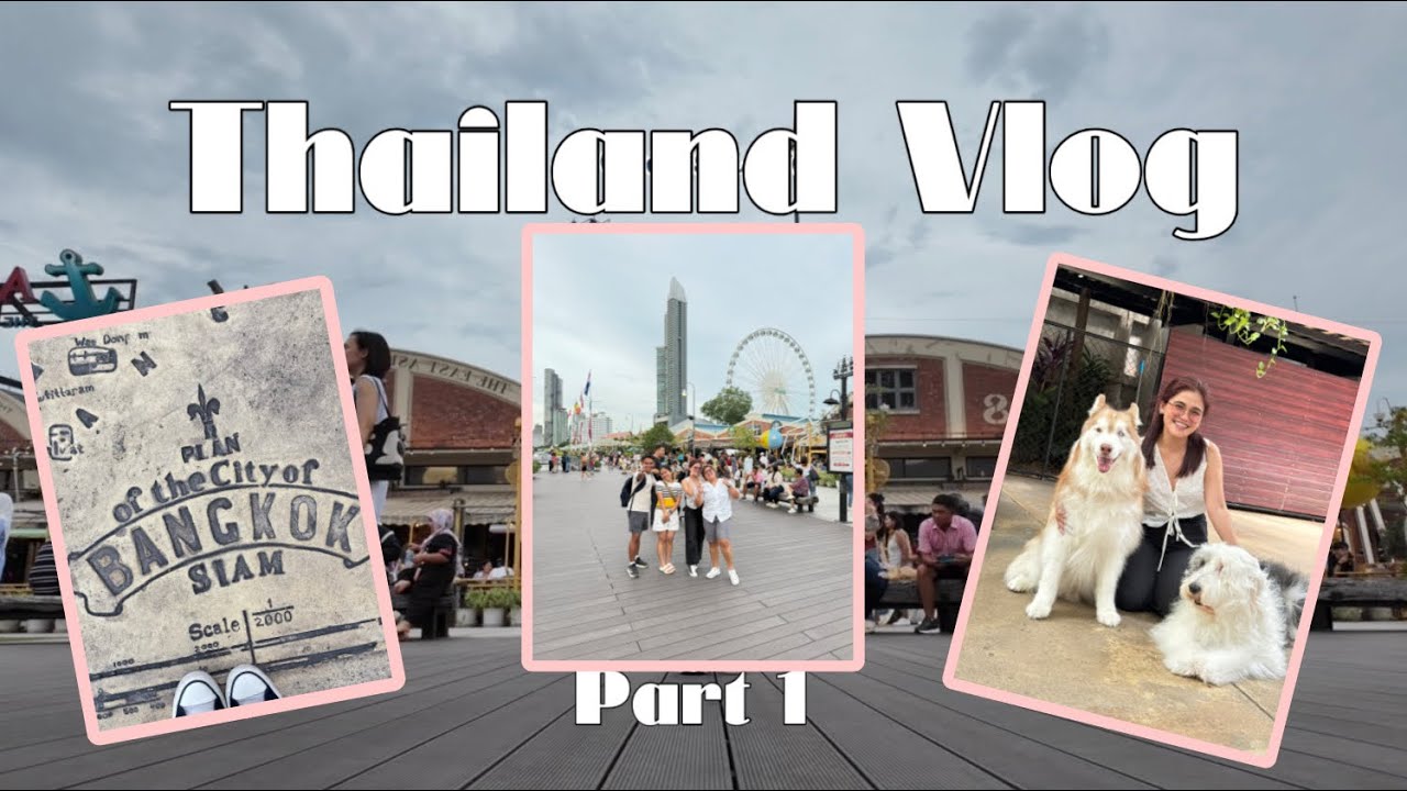 Thailand (Aug 2025) HAHA | Kissel Tautho | Bite and Flight l