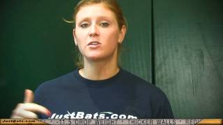 Easton SV12 -11.5 2 1/4" Fastpitch Softball Bat SSV2B | JustBats.com