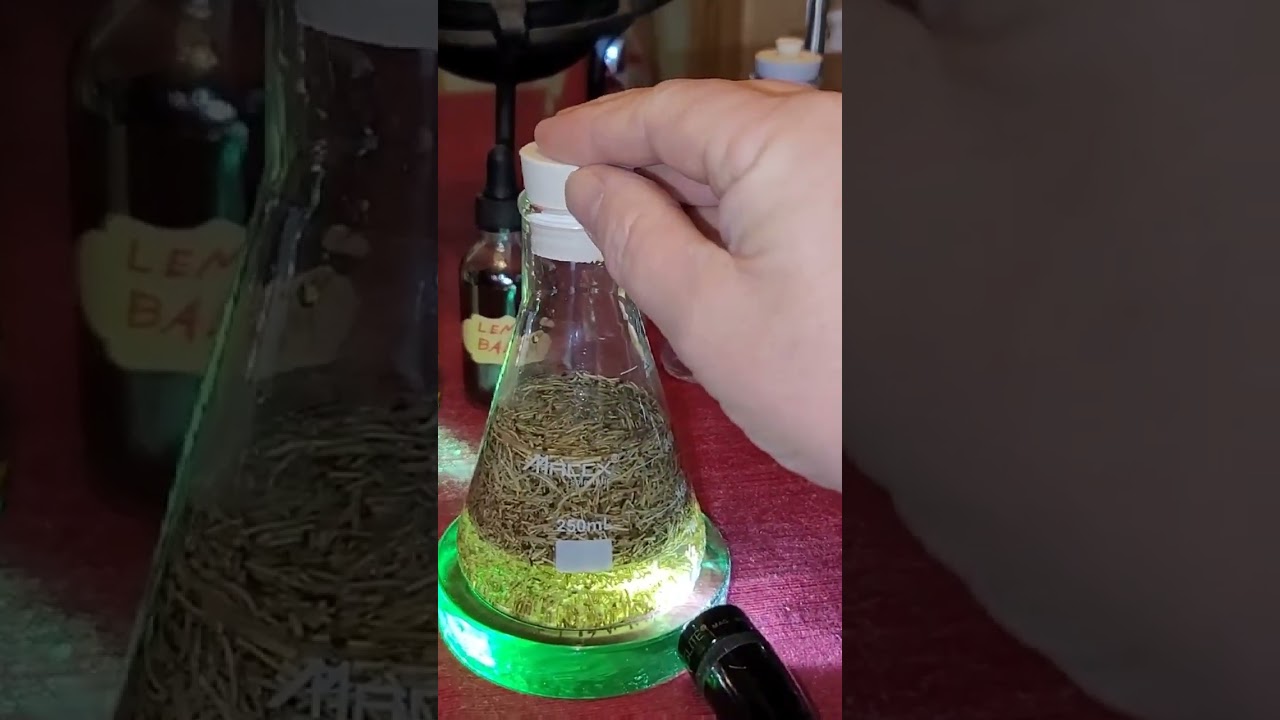 How To Make Elixirs - Plant Alchemy