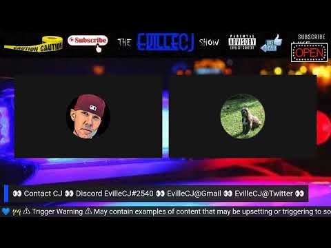 🚨 Interesting Thoughts & Theories on Idaho4 Case w/ @BREAD 2KILLUALL On Panel 🚨🎙w/CJ Highlight