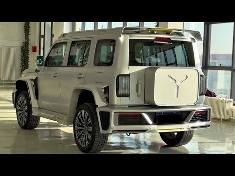 NEW Tank 300 Cybertank in-depth Walkaround
