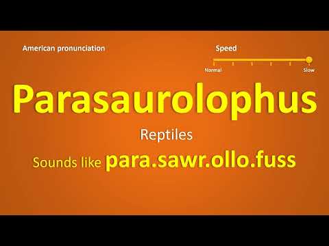 How to pronounce Parasaurolophus | How to say Parasaurolophus | American pronunciation