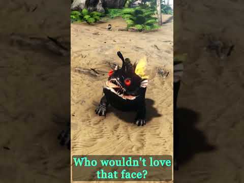 Steam Community :: Video :: Cutest creature in ARK