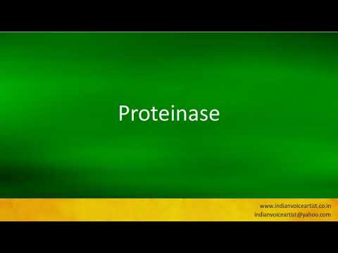 Pronunciation of the word(s) "Proteinase".