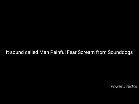 SCP 096 Scream Origin Sound