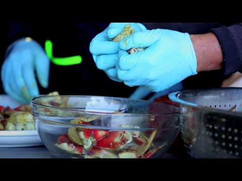 How to Crack Crab | Seafood | Whole Foods Market