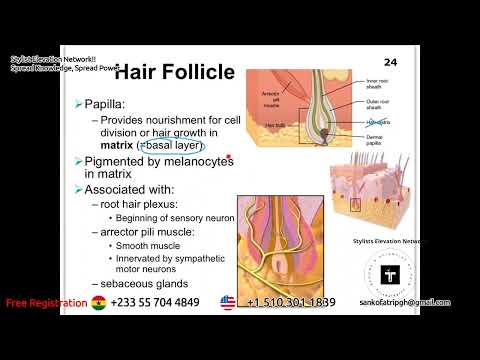 Become a scientist of hair : Anatomy of Hair & Nail