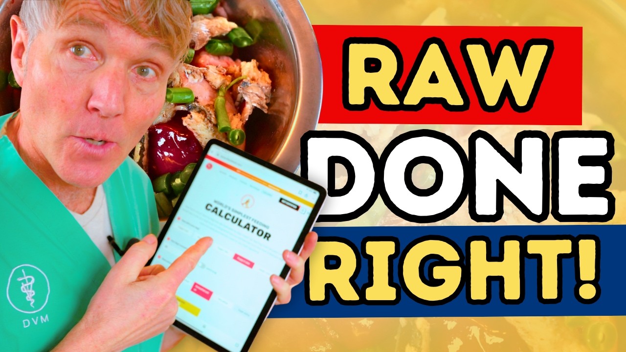 Homemade Balanced Raw Food for Dogs