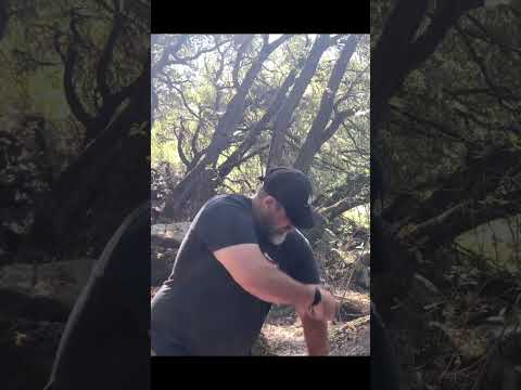 HOW TO QUELL MOSQUITOES 🦟 #howto #outdoorlife #survival #repellent #mosquito