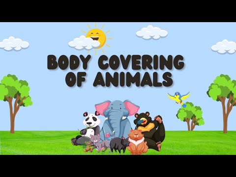 Animal Body Coverings Video Lecture - Science Class 5