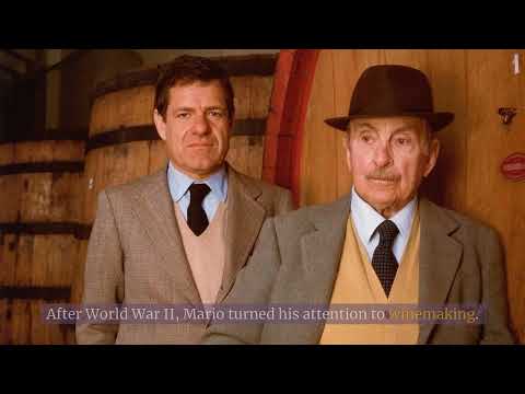 12#Wine Estate - Sassicaia - Tenuta San Guido 🌱: From Family Secret to Global Icon 🍷
