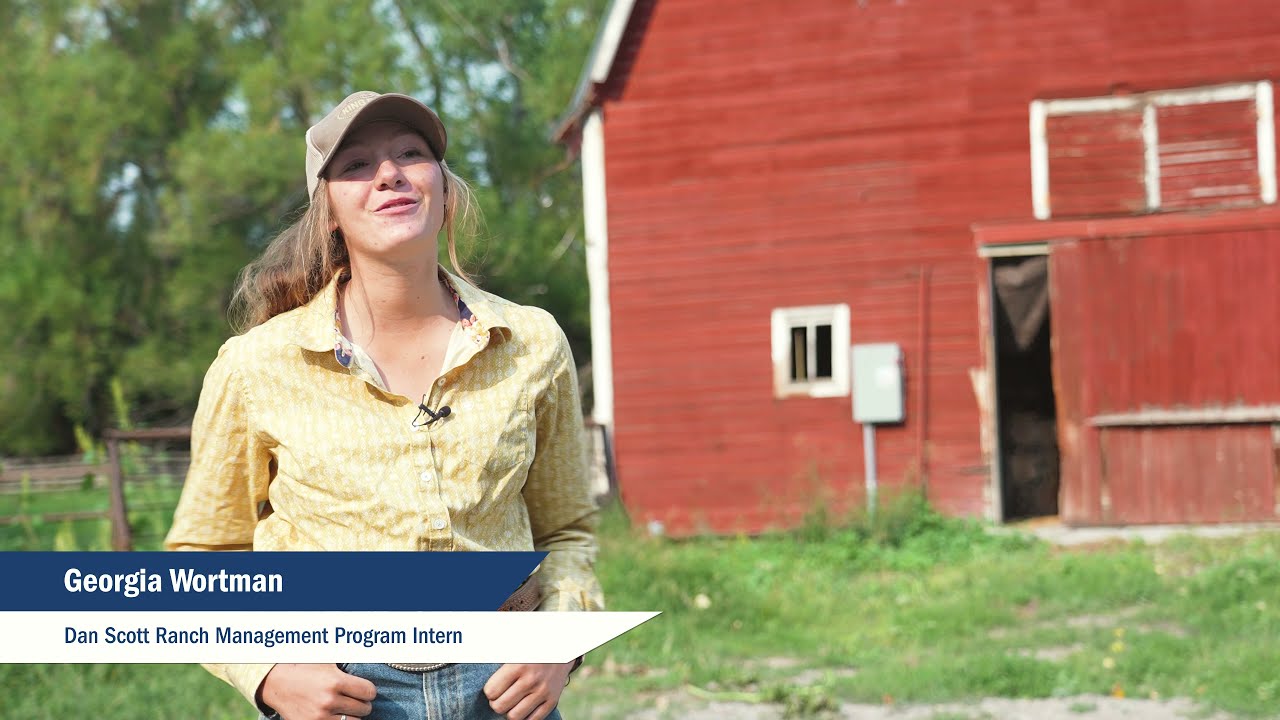 Dan Scott Ranch Management Program: Intern Experience