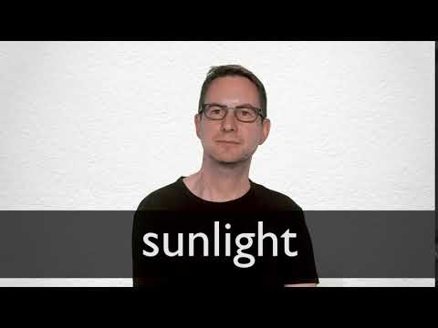 SUNLIGHT 释义 | 柯林斯英语词典