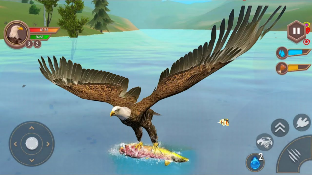 Eagle Simulator 3D - Engle Games | Best Gameplay hd