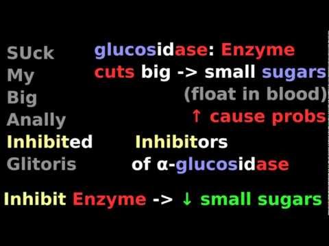 Oral Antidiabetic Mnemonic – Learning Never Exhausts The Mind
