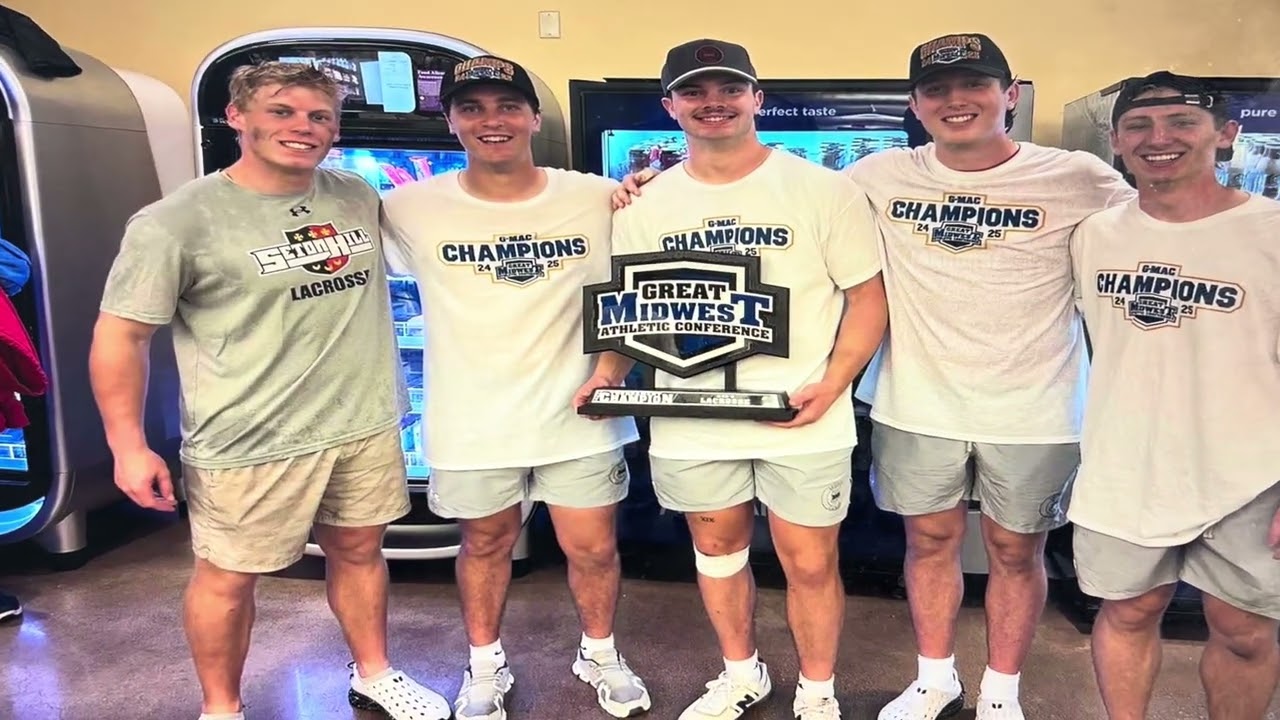 Professional portfolio