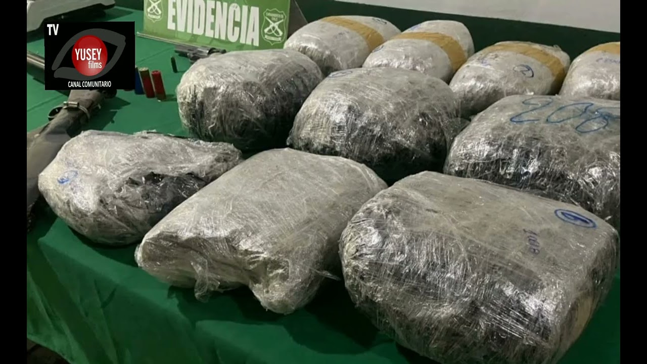 20 Mil dosis incautadas de Marihuana
