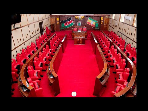 AD HOC COMMITTEE WITNESS HEARING [DAY THREE] | CEC Devolution, Agriculture & Wate