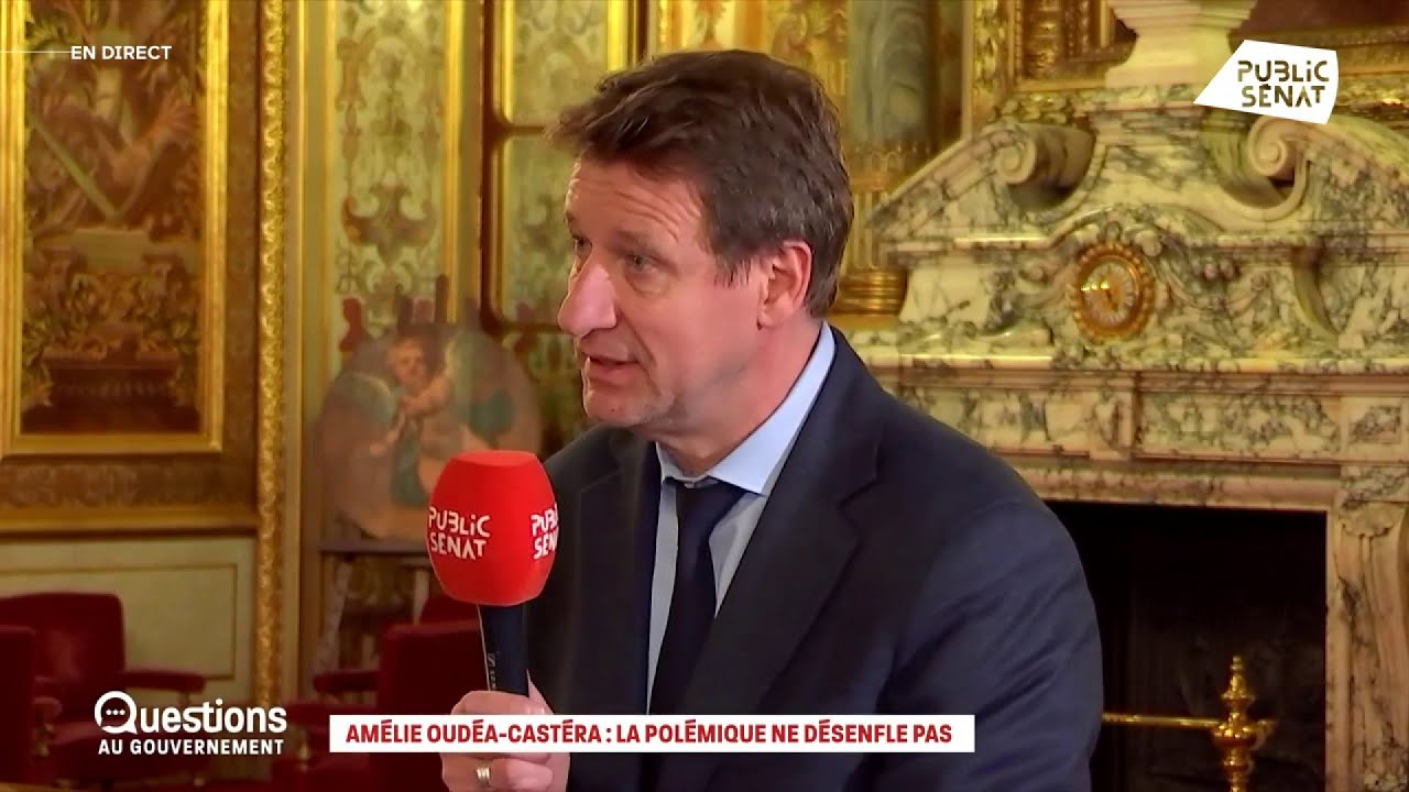Yannick Jadot fustige « un gouvernement TikTok » - Public Sénat