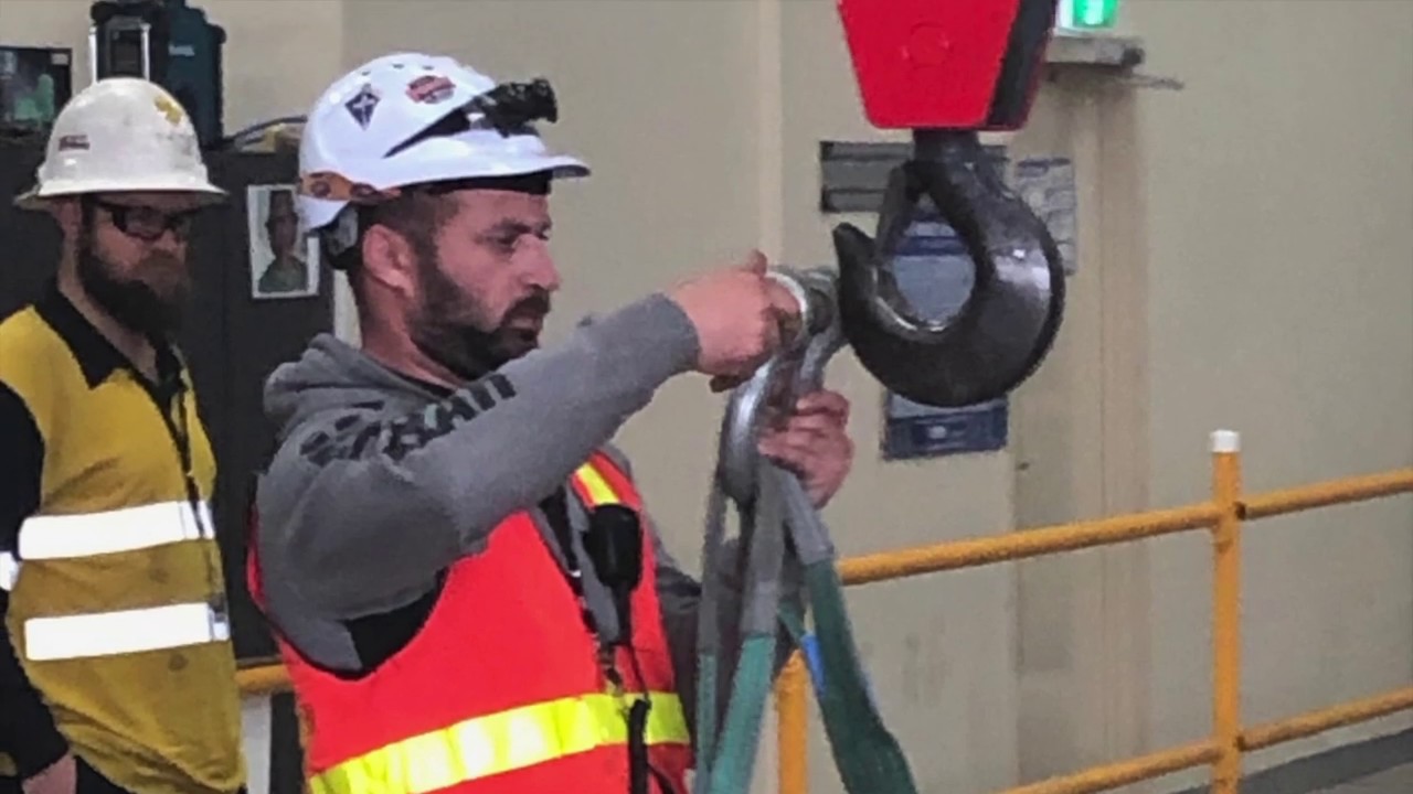 Licence to Perform Dogging Training Course Video (2019)