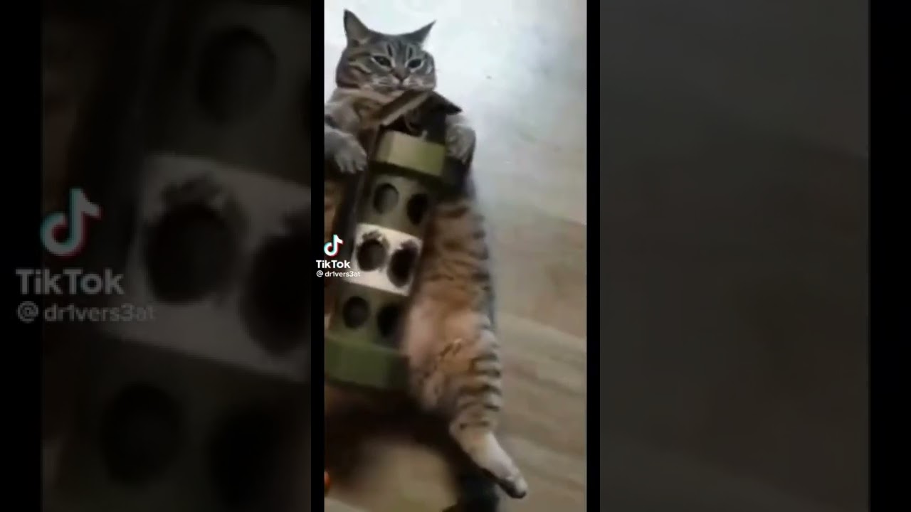 THINK FAST CHUCKLENUTS