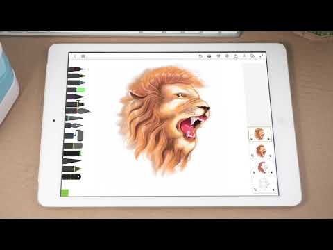Drawing Desk : #1 Drawing App