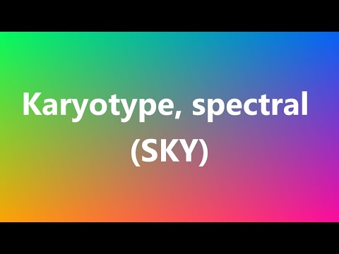 Karyotype, spectral (SKY) - Medical Meaning and Pronunciation