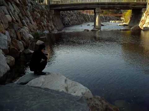 2010 COF Spring MT Preview