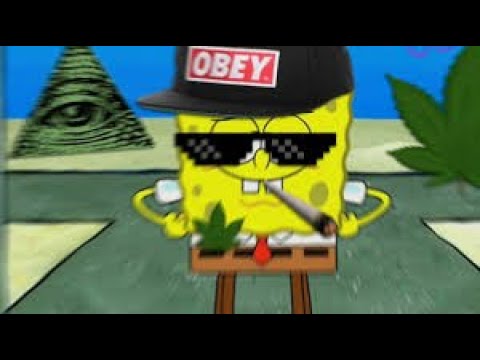 SpongeBob Memes!