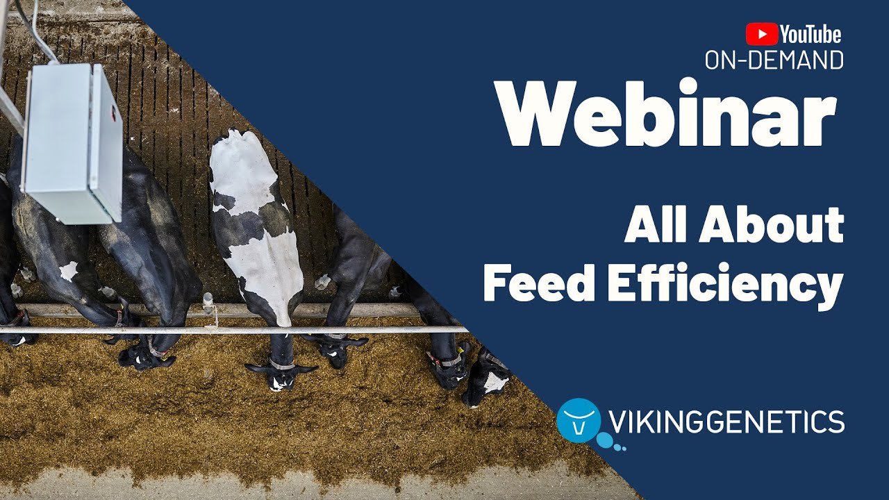 WEBINAR: All About Feed Efficiency