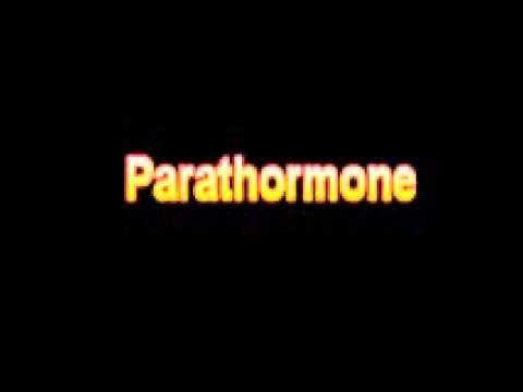 What Is The Definition Of Parathormone Medical School Terminology Dictionary