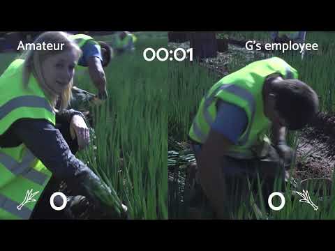 Behind the scenes: at a farm