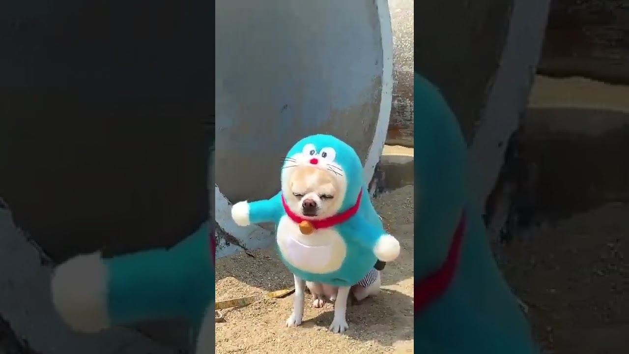 Give a Like for the Dogaemon #dog #doraemon #funny #memes #memedroid