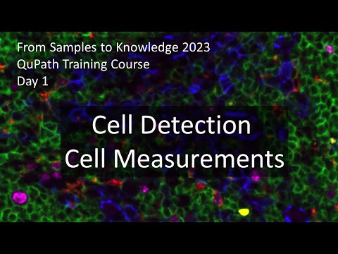 Cell Detection and Cell Measurements