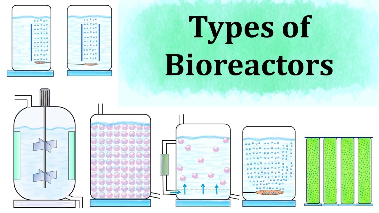 Types of Bioreactor
