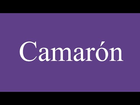 How To Pronounce ''Camarón'' (Shrimp) Correctly in Spanish