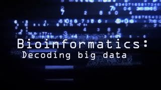 Stower Overview | What is a stower? - Zippia