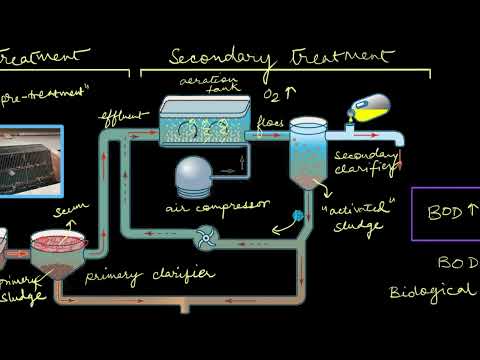 Sewage Treatment | Microbes in Human Welfare | Biology | Khan Academy