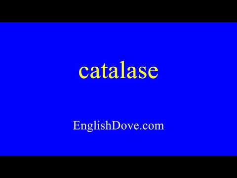 How to pronounce catalase in American English