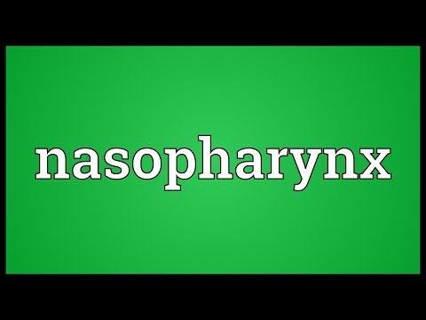 Nasopharynx Meaning