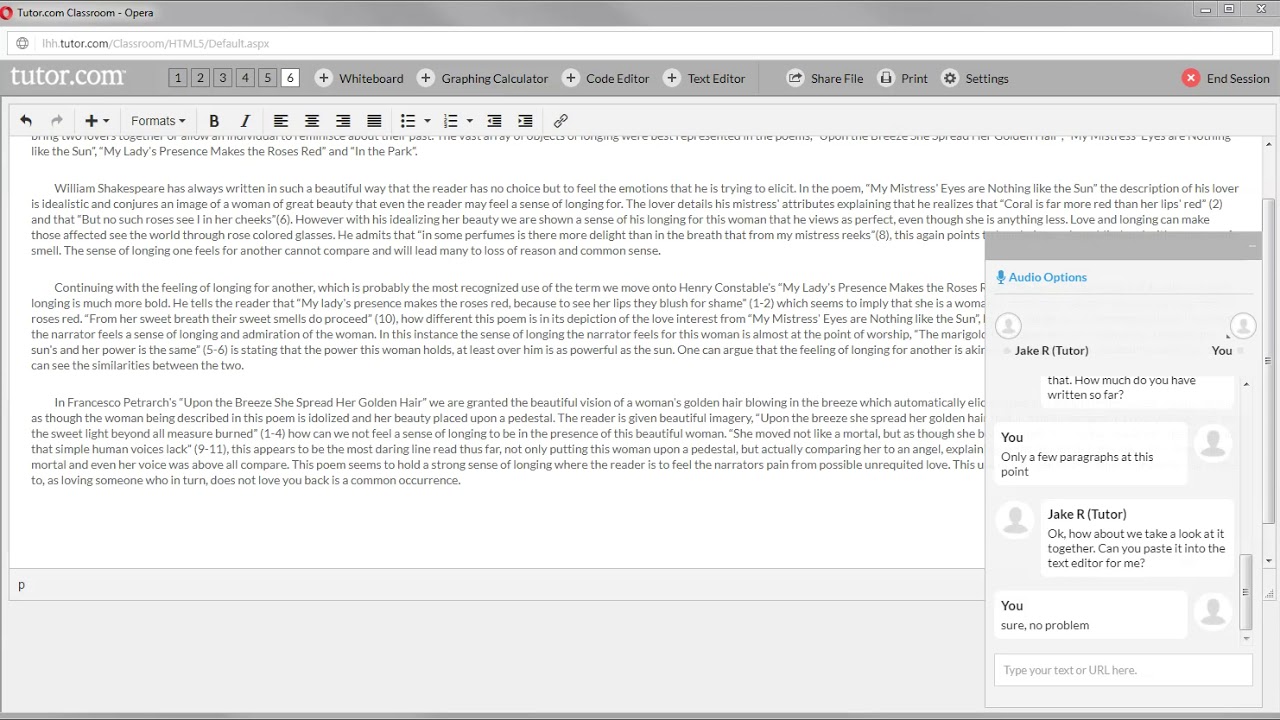 How to Use the Text Editor