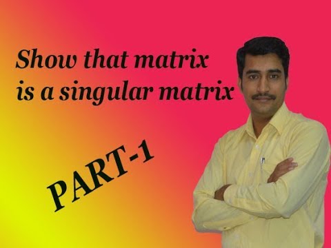 Show that matrix A is a singular matrix interesting example(PART-1)