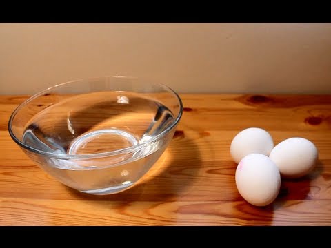 Egg Freshness Test