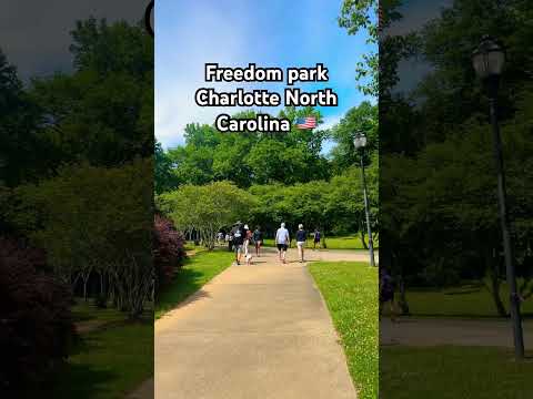 Freedom park πΊπΈ#freedompark #charlotte #usalife #shorts #ytshorts