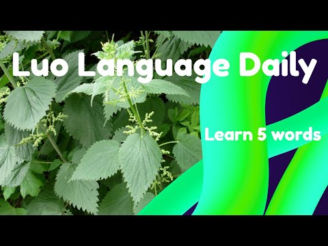 Day 77 Five Luo Words A day Atieno Ating'a ongo Atipa Atokndere Atol