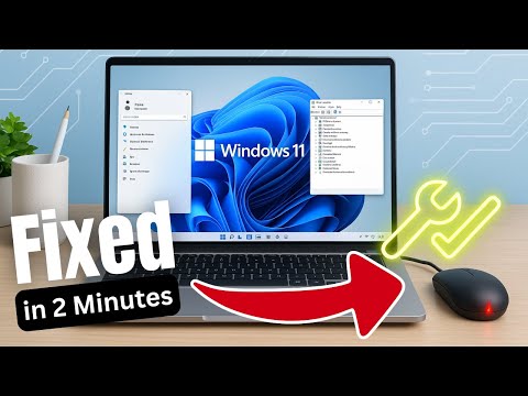 How to Fix Mouse Not Working in Windows 11 ( 2025 ) - Step by Step