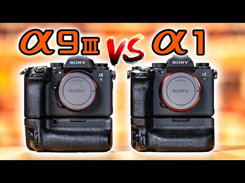 Sony A9 III vs A1 (ILCE-9M3)