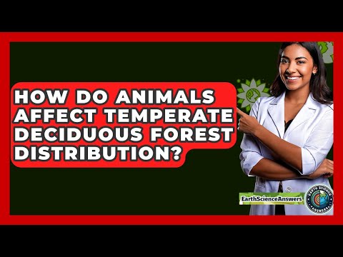 How Do Animals Affect Temperate Deciduous Forest Distribution? - Earth Science Answers