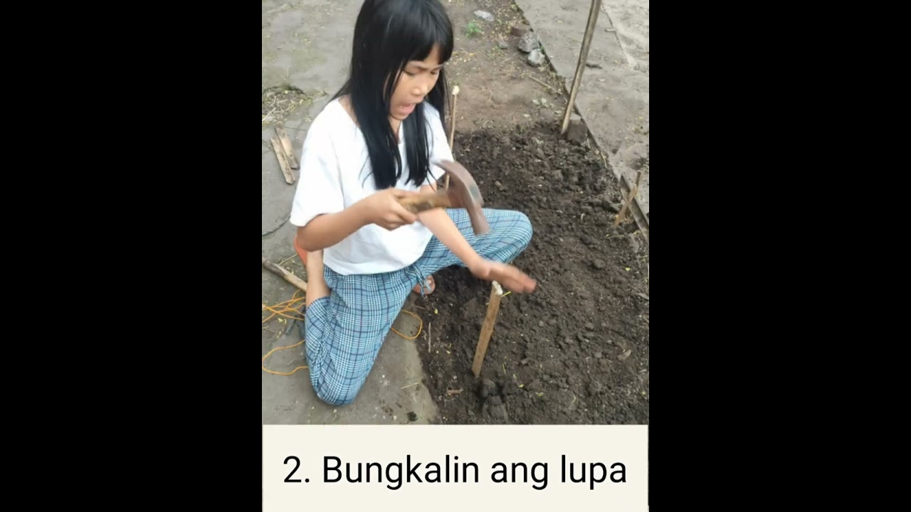 EPP 4 Q2 PERFORMANCE TASK